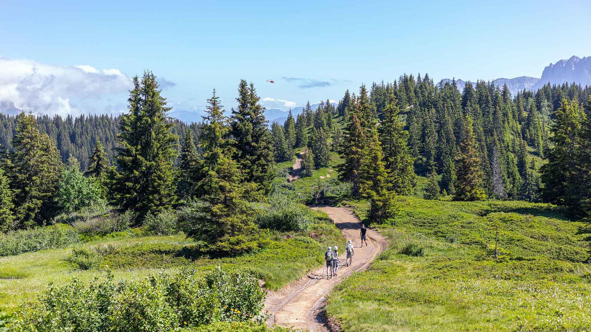 Sentiers pédestres & itinéraires balisés en été | Megève Tourisme