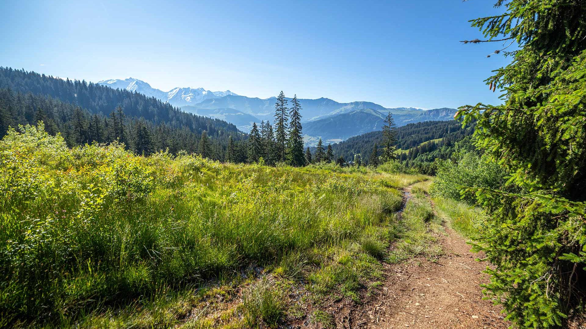 Sentiers pédestres & itinéraires balisés en été | Megève Tourisme